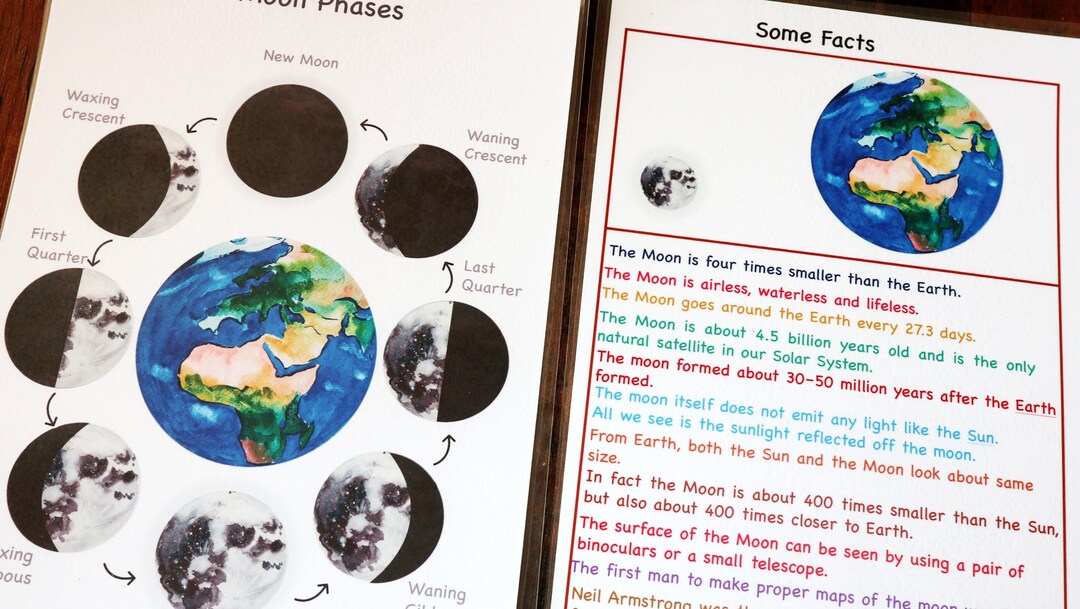 Moon Phases Printable, Moon Anatomy, Moon Unit Study, 3 Parts Cards ...