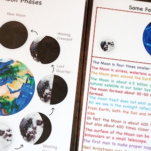 Moon Phases Printable, Moon Anatomy, Moon Unit Study, 3 Parts Cards ...
