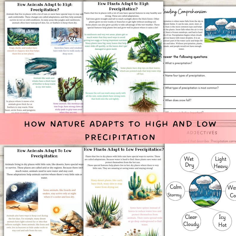 Precipitation Unit Study, Water Cycle, Weather Unit, Nature Study ...