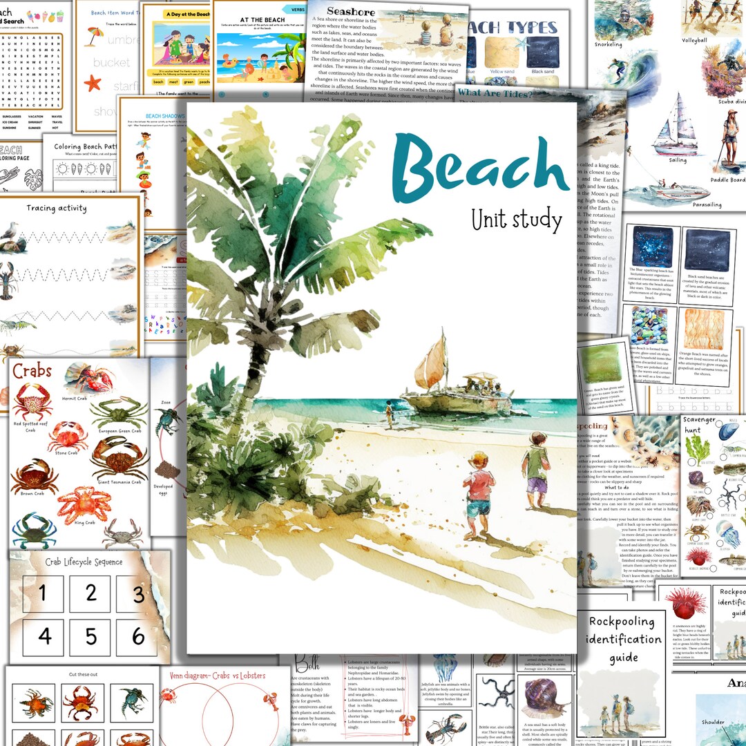 Beach Unit Study, Crab Unit Study, Seashore Animals, Lobster Anatomy ...