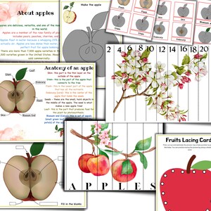 Fruits and Nuts Unit Study, Apple Unit Study, Banana Unit Study, Apple ...