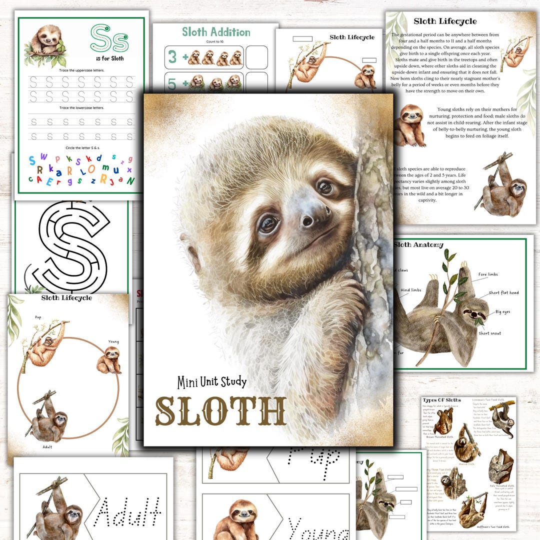 Sloth Mini Unit, Rainforest Animals, Nature Unit Homeschooling - Etsy