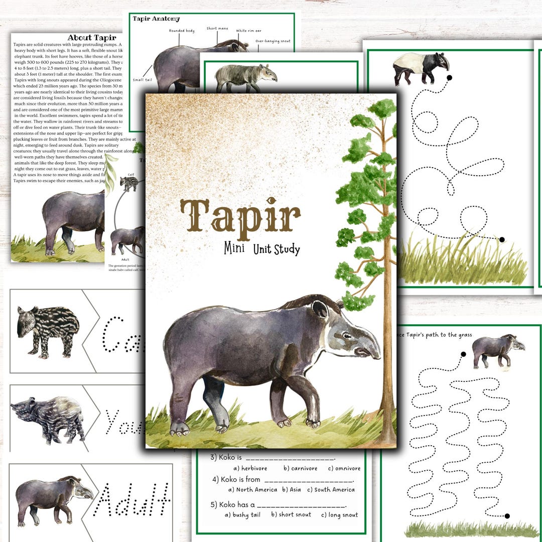 Tapir Mini Unit, Rainforest Animals, Rainforest Homeschooling, Nature ...