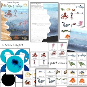 Ocean Unit Study, Ocean Layers, Ocean Animals Study, Ocean Families ...