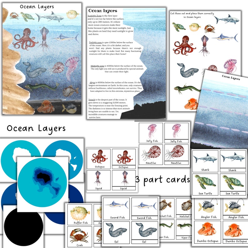 Ocean Unit Study, Ocean Layers, Ocean Animals Study, Ocean Families ...