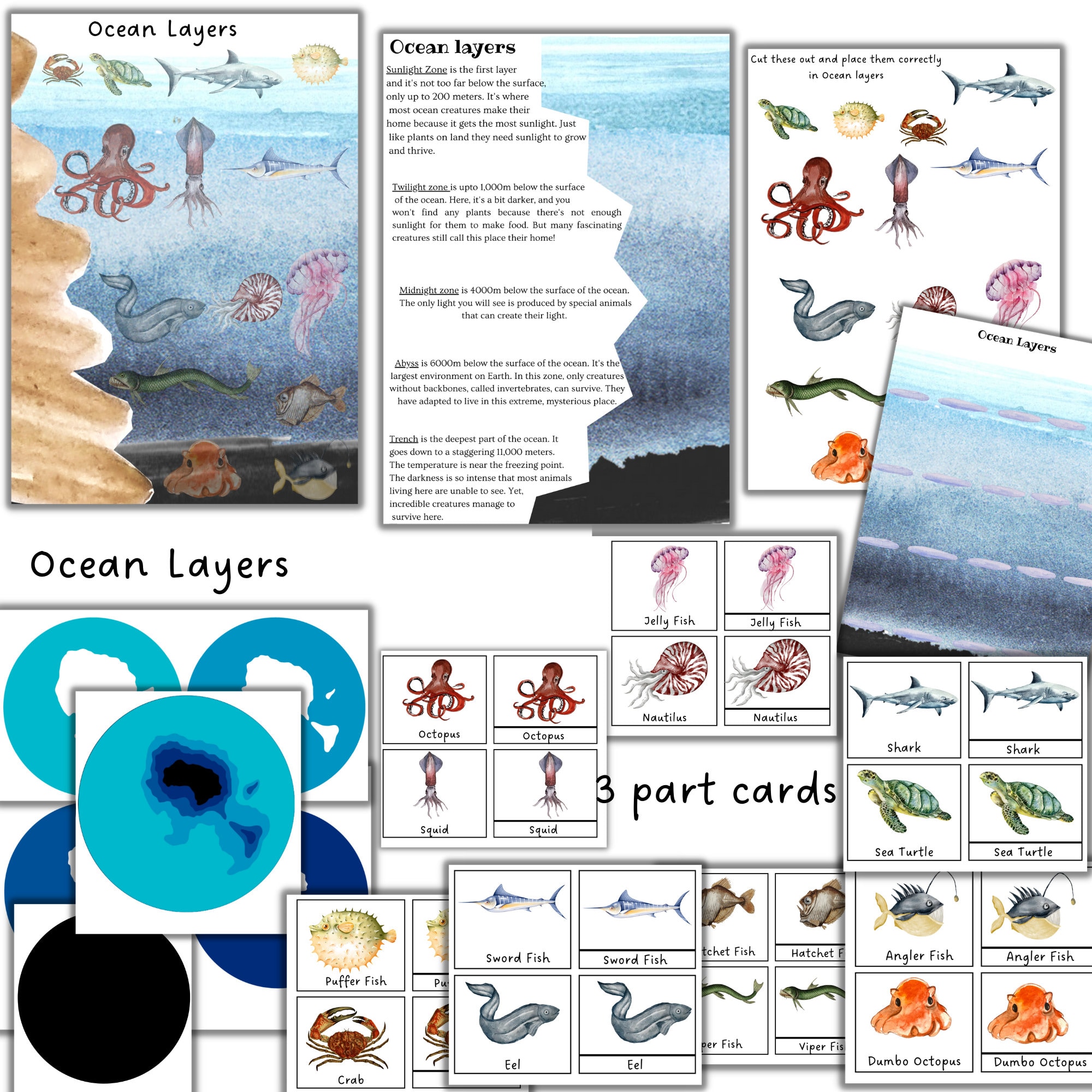 Ocean Unit Study, Ocean Layers, Ocean Animals Study, Ocean Families ...