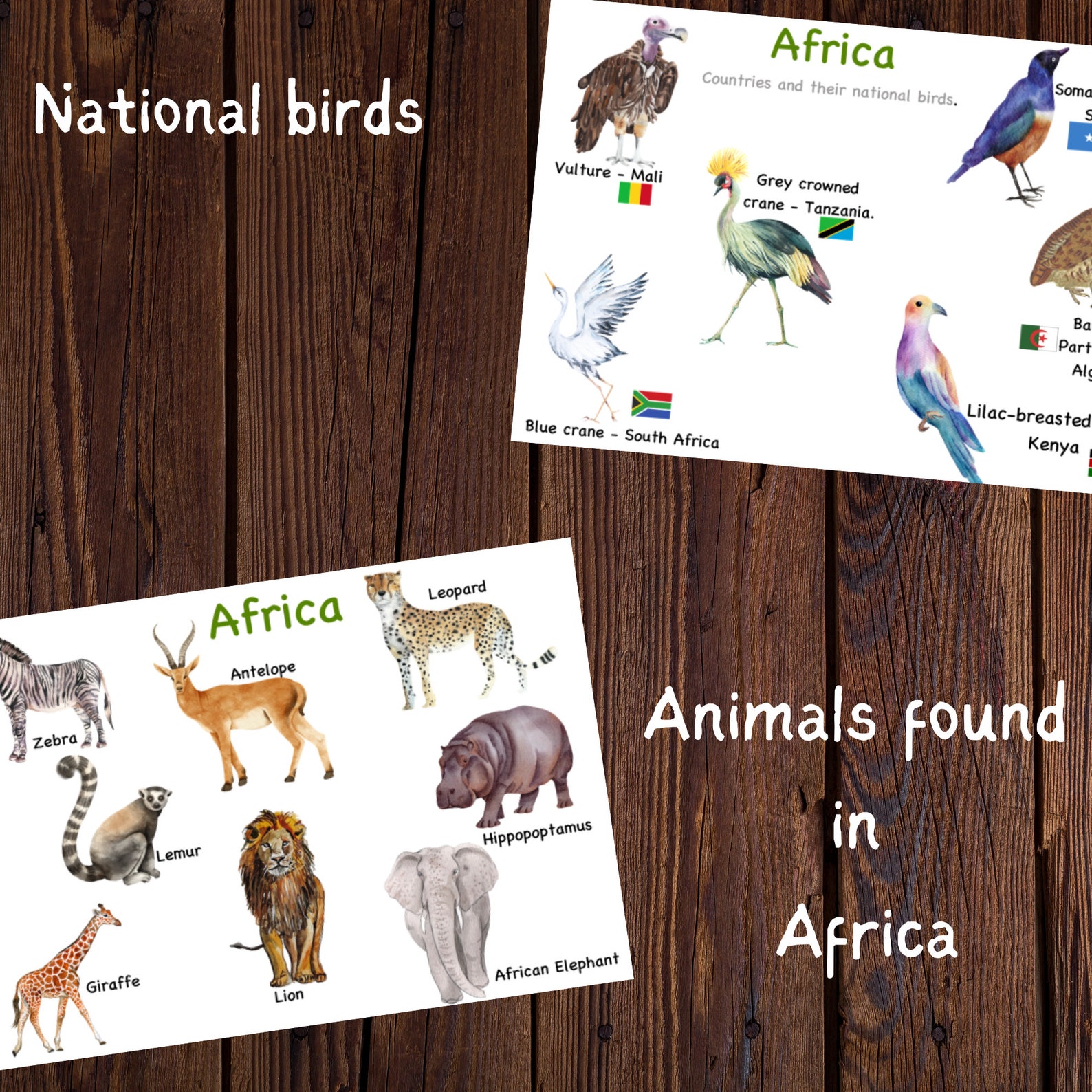 Africa Unit Study Printable Africa Puzzle Africa 3 Part - Etsy
