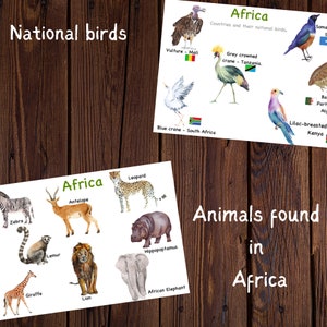 Africa Unit Study Printable, Africa Puzzle, Africa 3 Part Cards ...