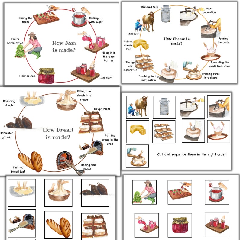 Farm Unit Study Chicken Unit Study Farm Animals Activities - Etsy