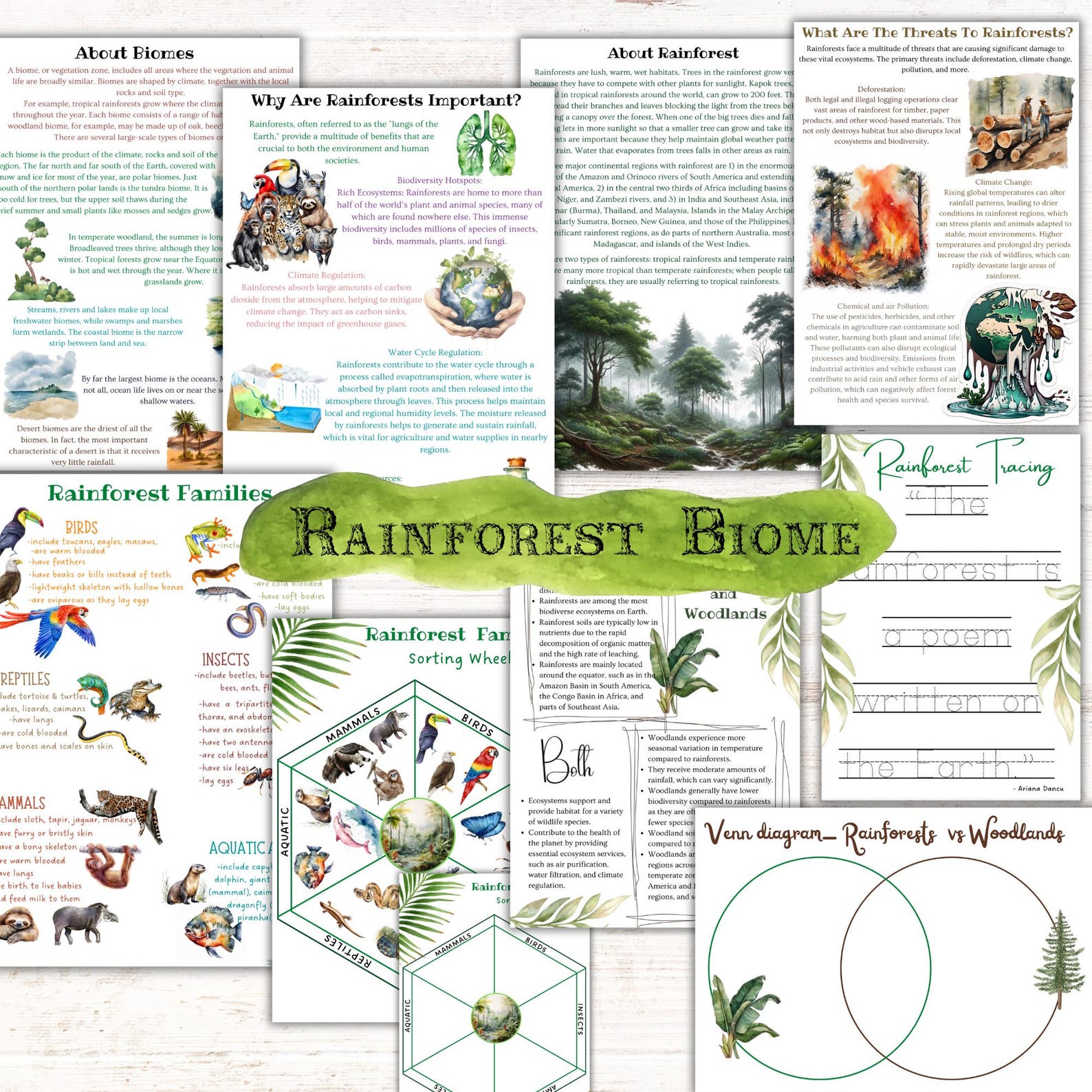 Rainforest Unit Study, Biome Unit , Rainforest Animals Worksheets ...