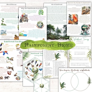 Rainforest Unit Study, Biome Unit , Rainforest Animals Worksheets ...