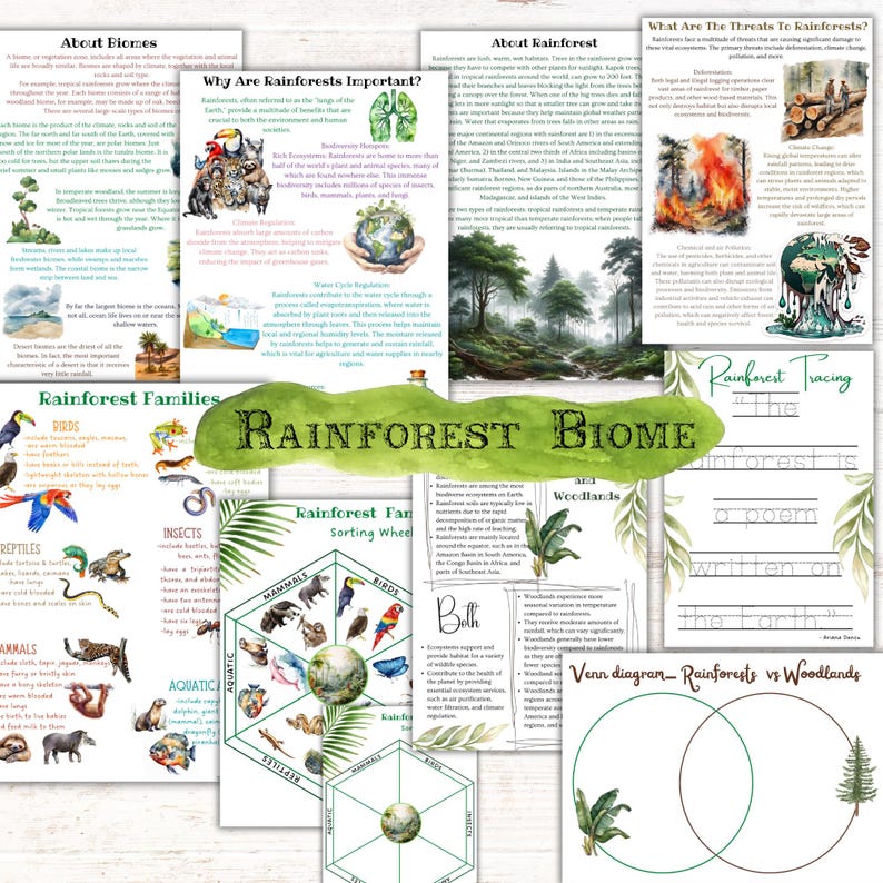 Rainforest Unit Study, Biome Unit , Rainforest Animals Worksheets ...