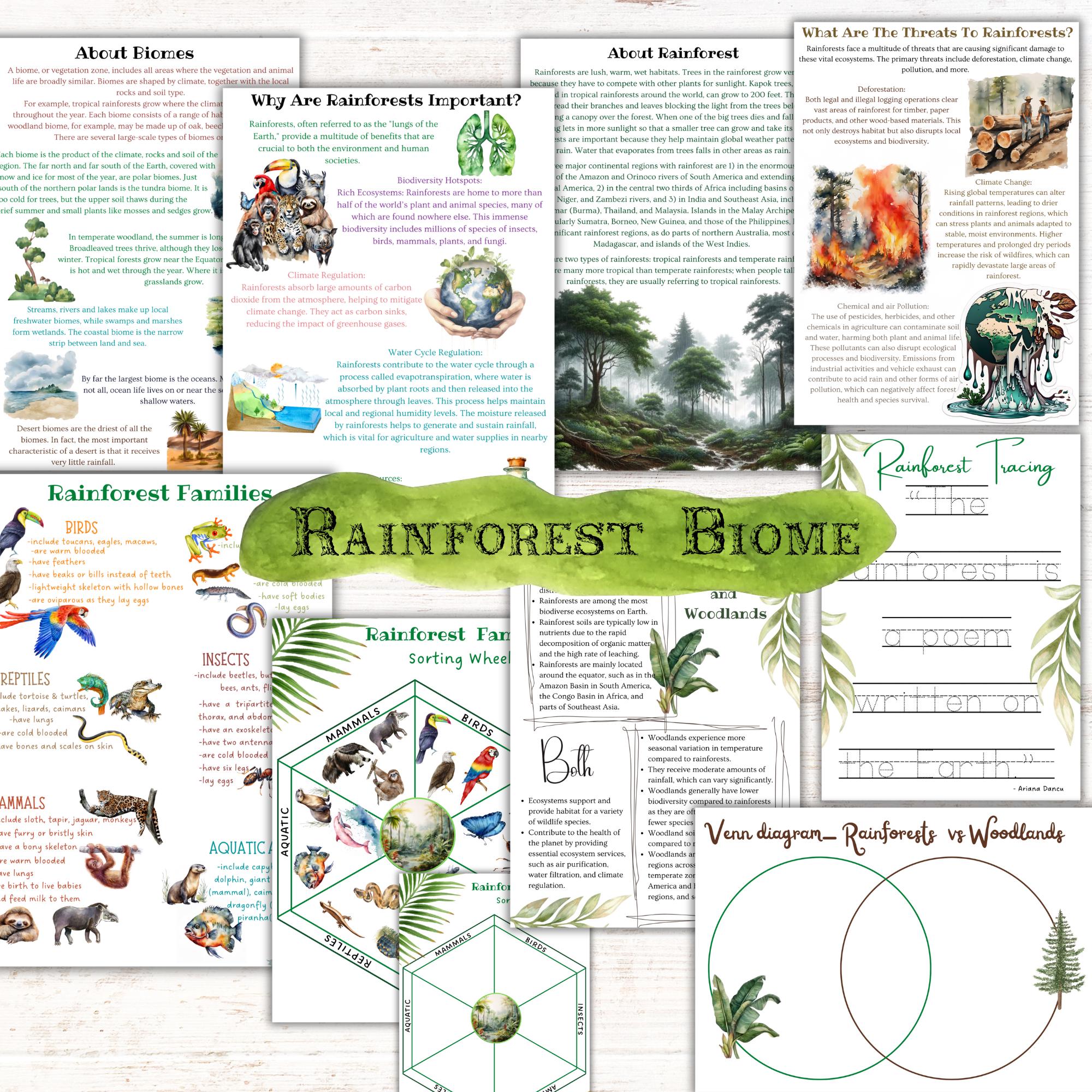 Rainforest Unit Study, Biome Unit , Rainforest Animals Worksheets ...