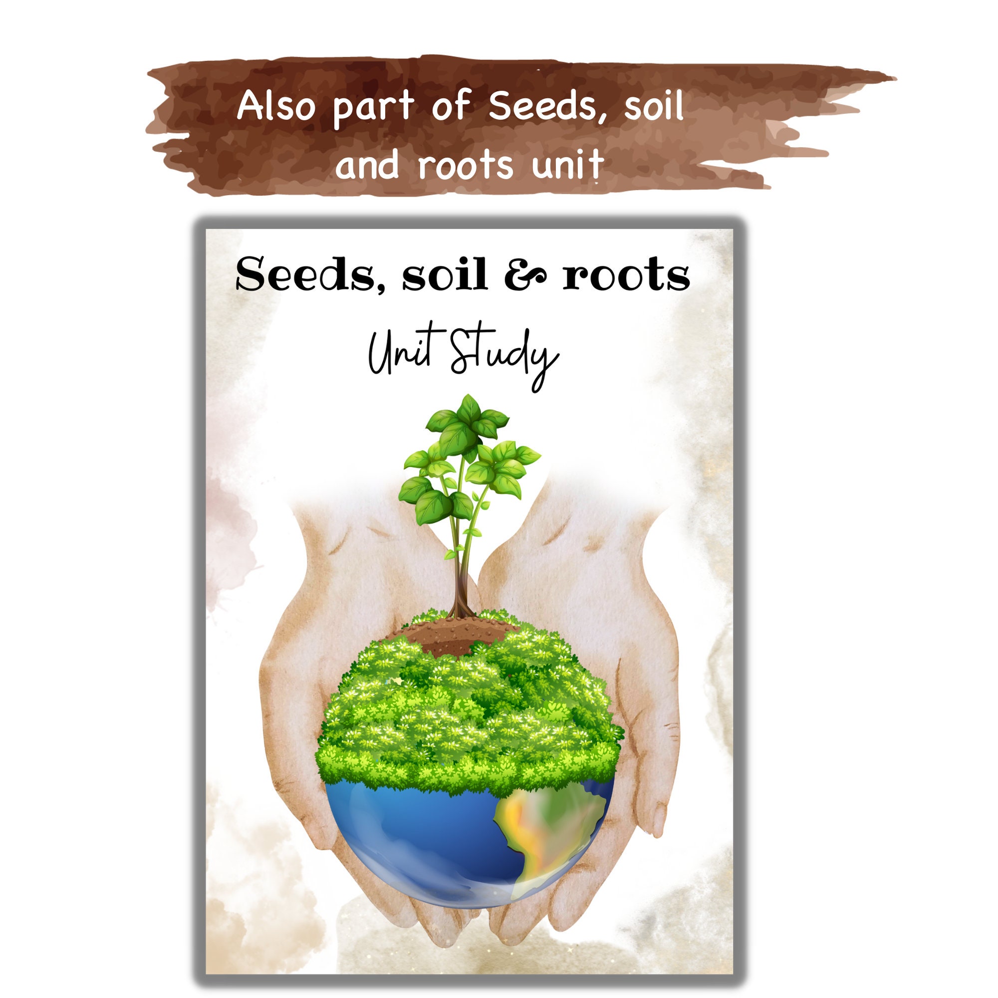 Root Anatomy Part of Roots 3 Part Roots Cards Spring Unit - Etsy