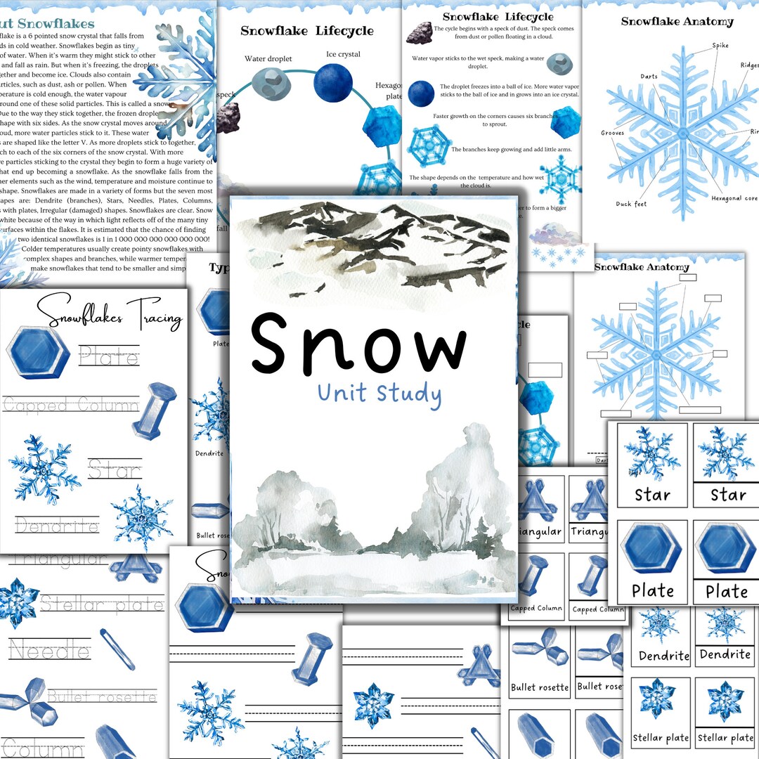Snow Unit Study, Winter Printable Activity, Snowflake Anatomy ...
