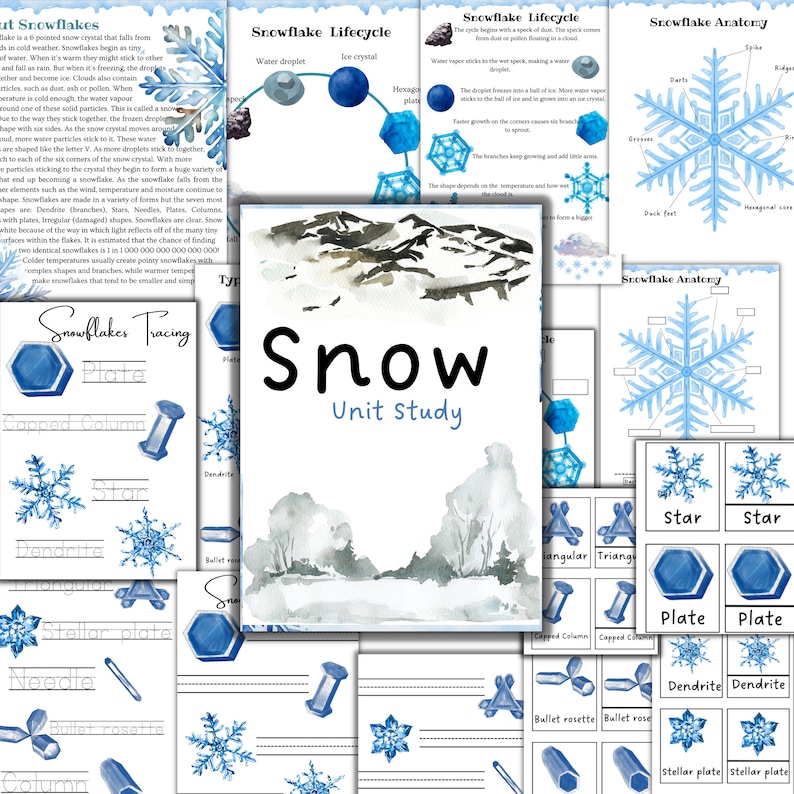 Snow Unit Study, Winter Printable Activity, Snowflake Anatomy ...