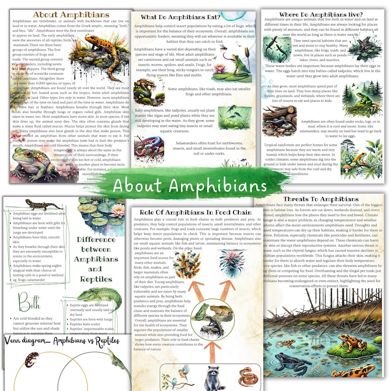 Amphibian Unit Study, Frogs Unit Study, Frogs 3 Part Cards, Frog ...