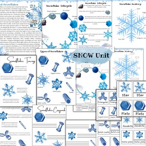 Winter Unit Study, Winter Forest Animals, Snow Unit Study, Carrot Unit ...