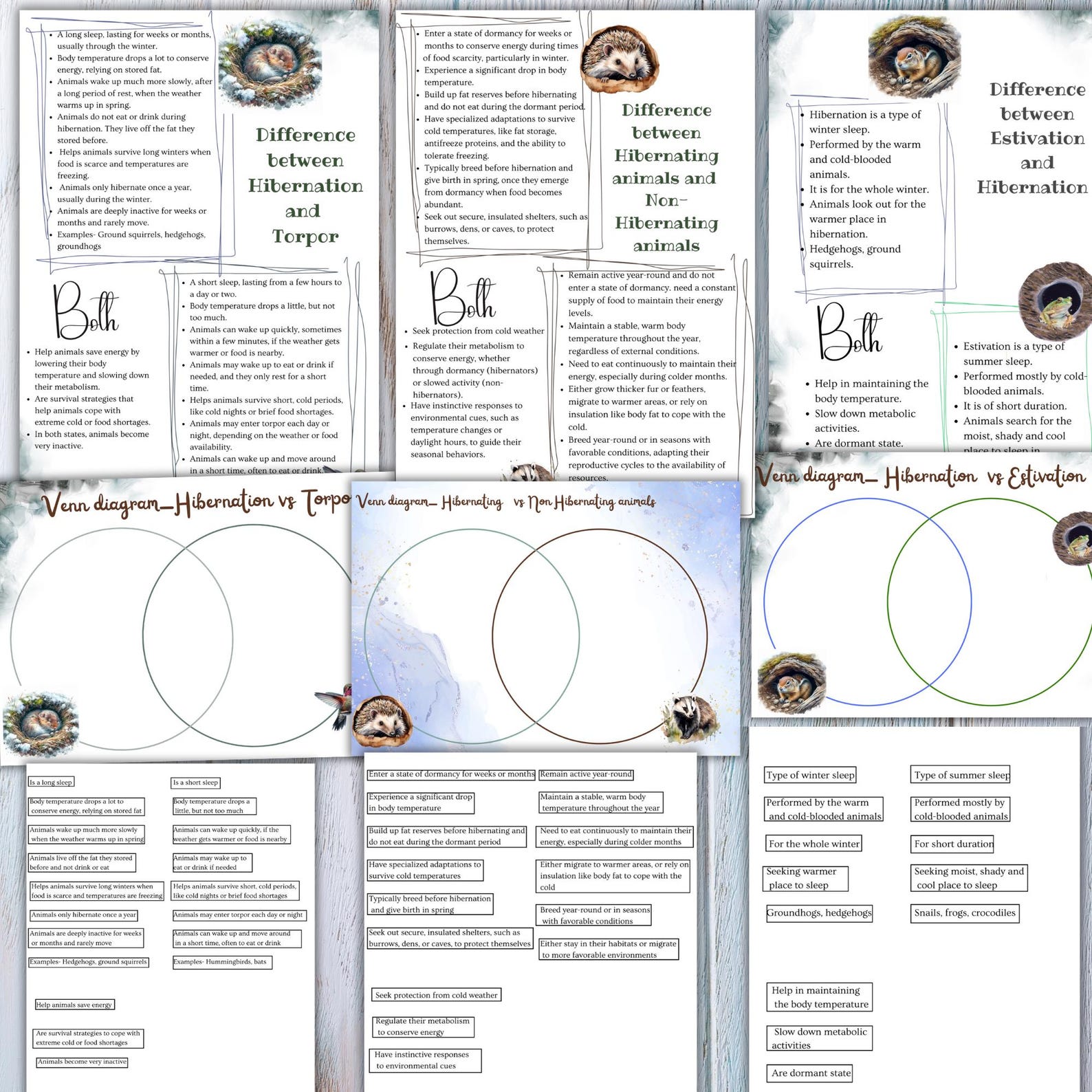 Hibernation Unit Study, Winter Sleep Unit Study, Winter Unit, Winter ...