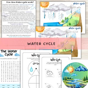 Precipitation Unit Study, Water Cycle, Weather Unit, Nature Study ...