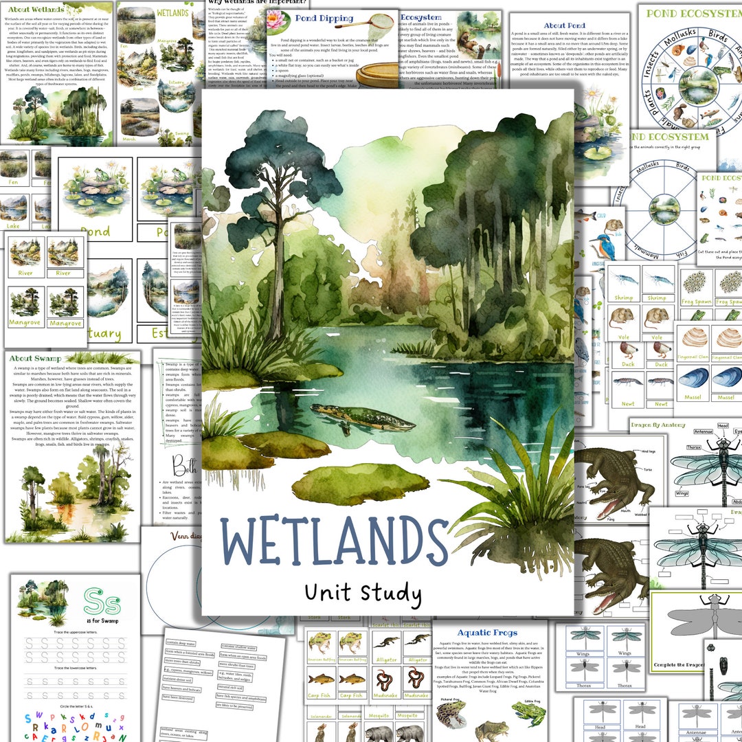 Pond Unit Study, Wetlands Unit, Swamp Unit, Dragonfly Unit Study, Pond ...