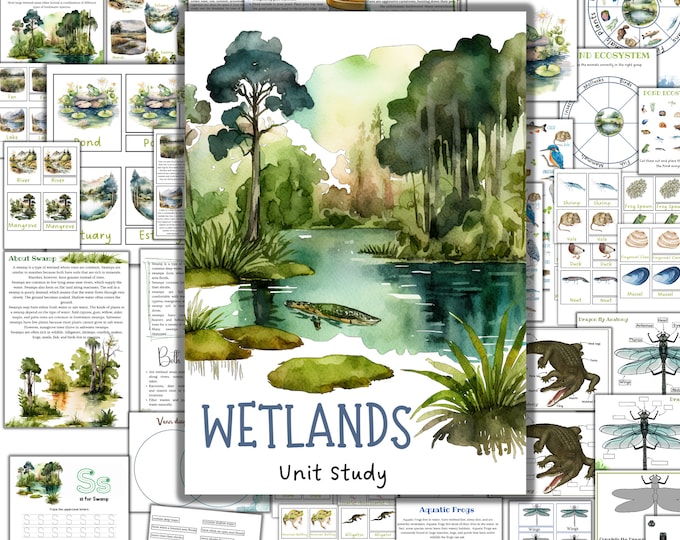 Natural Disasters Interactive Lapbook and Mini-unit - Etsy