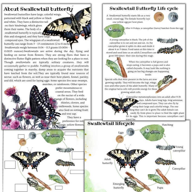 Butterfly Unit Study, Butterfly Printable Puzzle, Butterfly 3 Part ...