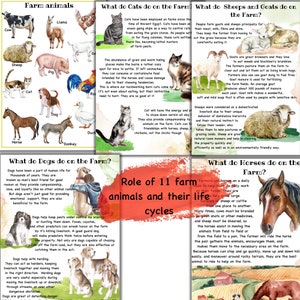 Farm Unit Study, Chicken Unit Study, Farm Animals Activities, Pea Plant ...