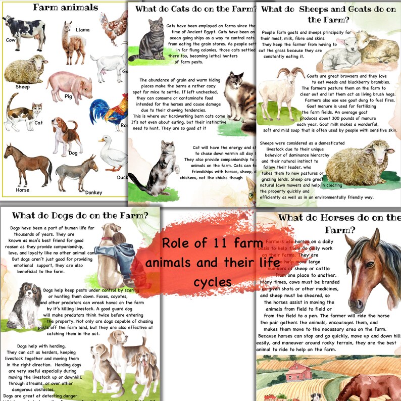 Farm Unit Study Chicken Unit Study Farm Animals Activities - Etsy