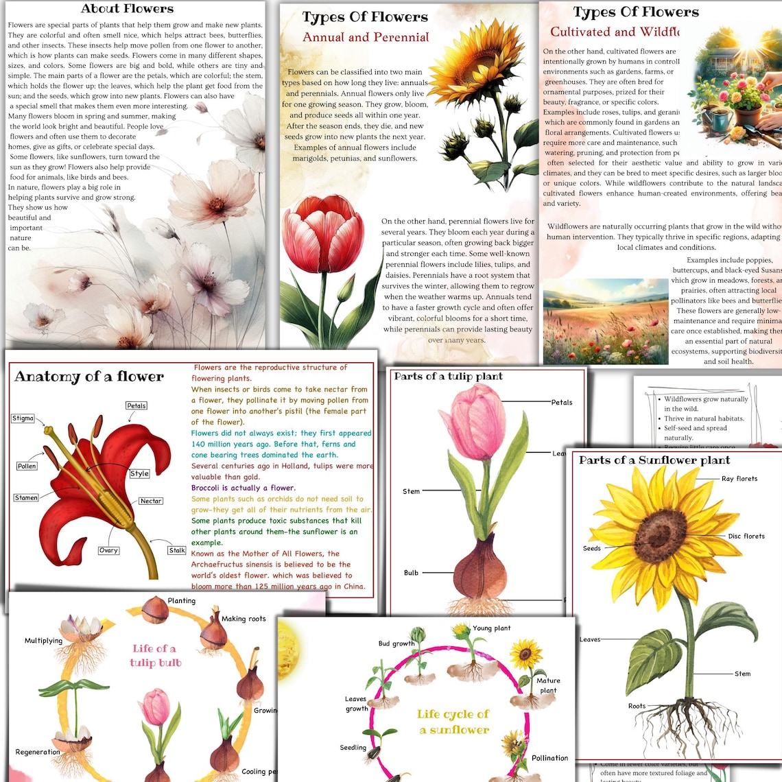 BOTANY Bundle, Flower Unit, Roots Unit, Fruits Unit, Trees Unit, Leaf ...