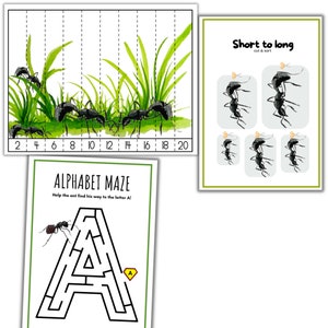 Ant Mini Unit Study, Ant Printable Puzzle, Ant Printable Activities ...