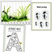 Ant Mini Unit Study, Ant Printable Puzzle, Ant Printable Activities ...