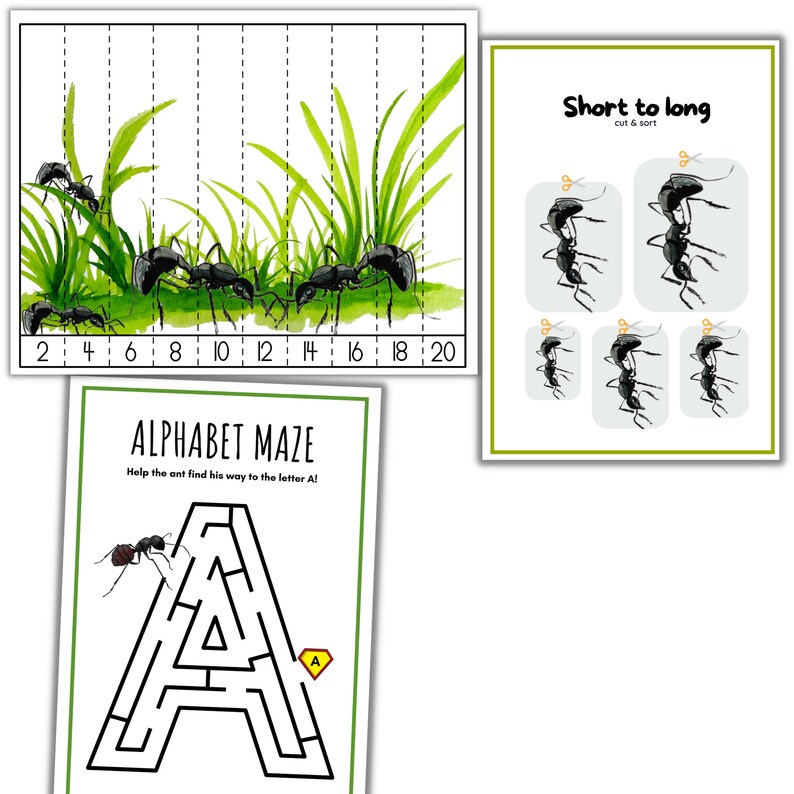 Ant Mini Unit Study, Ant Printable Puzzle, Ant Printable Activities ...