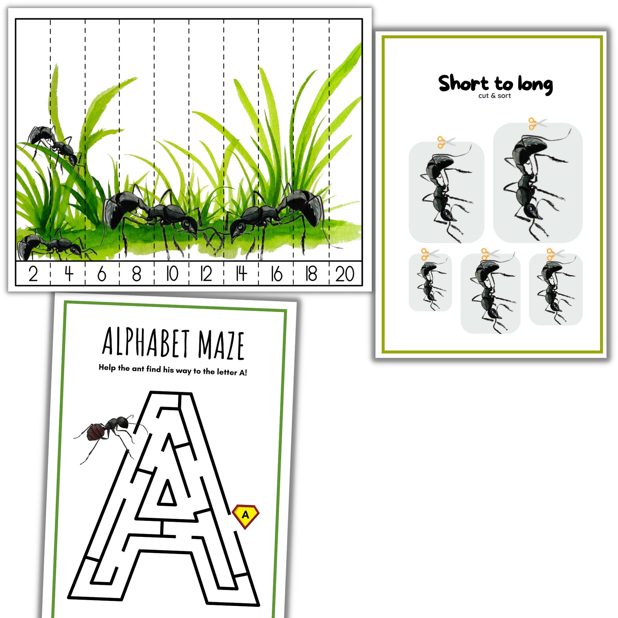 Ant Mini Unit Study, Ant Printable Puzzle, Ant Printable Activities ...
