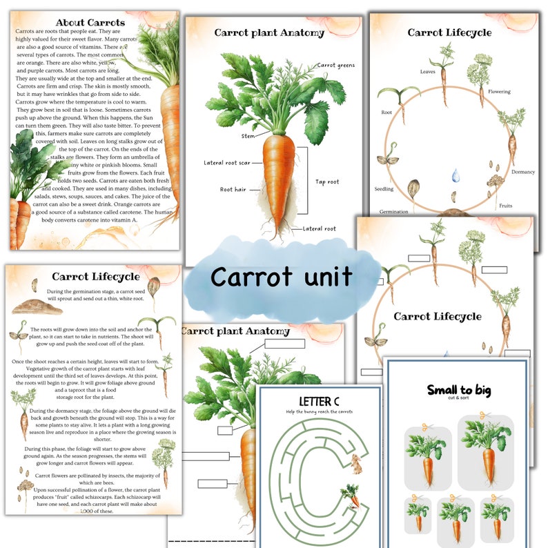 Winter Unit Study, Winter Forest Animals, Snow Unit Study, Carrot Unit ...