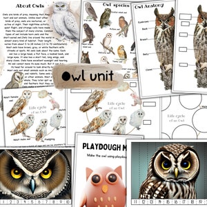 Birds Unit Study, Bird Anatomy, Bird Montessori 3 Part Cards, Owl Unit ...