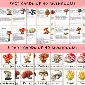 MUSHROOMS UNIT STUDY, Fungi Unit Study, Mushroom Printable, Autumn ...