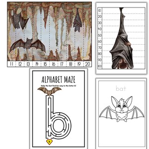 Bat Mini Unit Study, Bat Anatomy, Bat Life Cycle, Bats Poster Watecolor ...