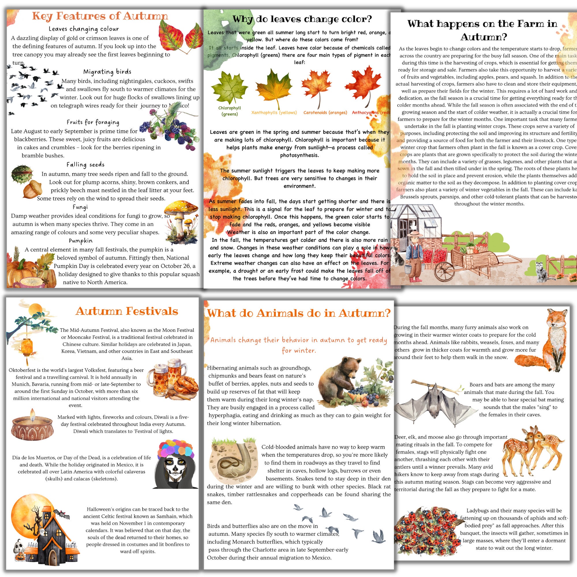 Fall Unit Study, Mushroom Unit Study, Corn Unit Study, Fox Unit Study ...