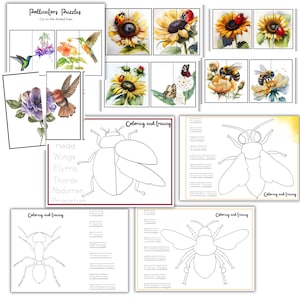 Wildflowers Unit Study, Pollinators Unit Study, Flower Anatomy, Nature ...