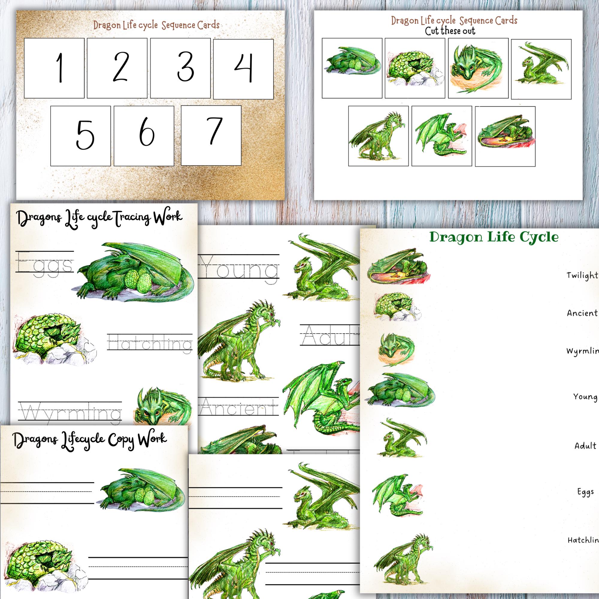 DRAGON LIFE CYCLE, Dragon Printable, Dragon Study, Dragon Lesson - Etsy