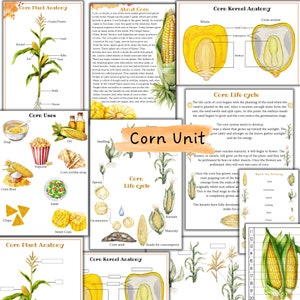 Fall Unit Study, Mushroom Unit Study, Corn Unit Study, Fox Unit Study ...