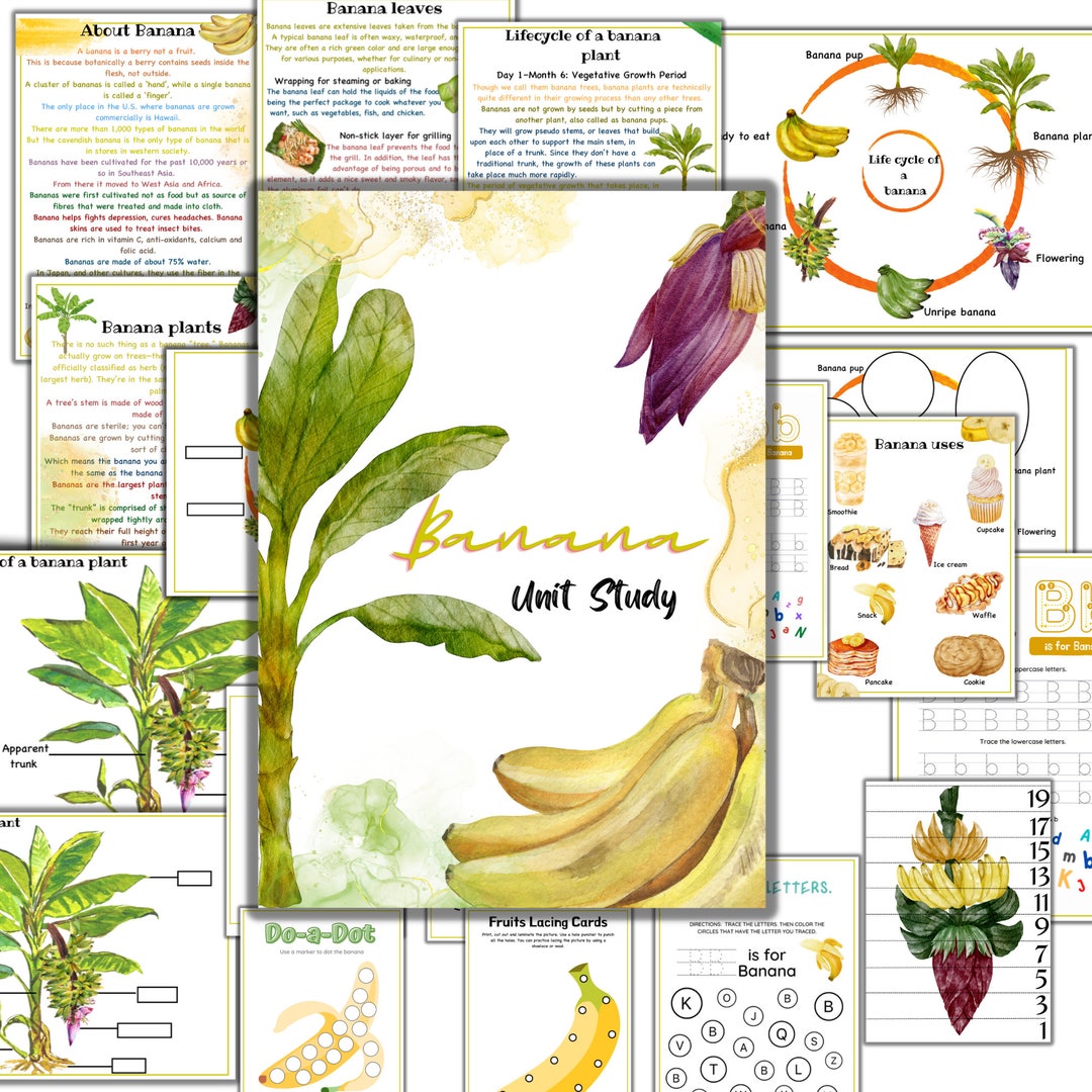 Banana Unit Study, Banana Life Cycle , Parts of Banana Plant, Banana ...