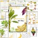 Banana Unit Study, Banana Life Cycle , Parts of Banana Plant, Banana ...