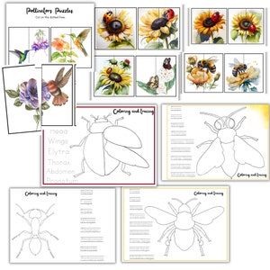 Pollinators Unit Study, Flower Anatomy, Pollination Process, Nature ...
