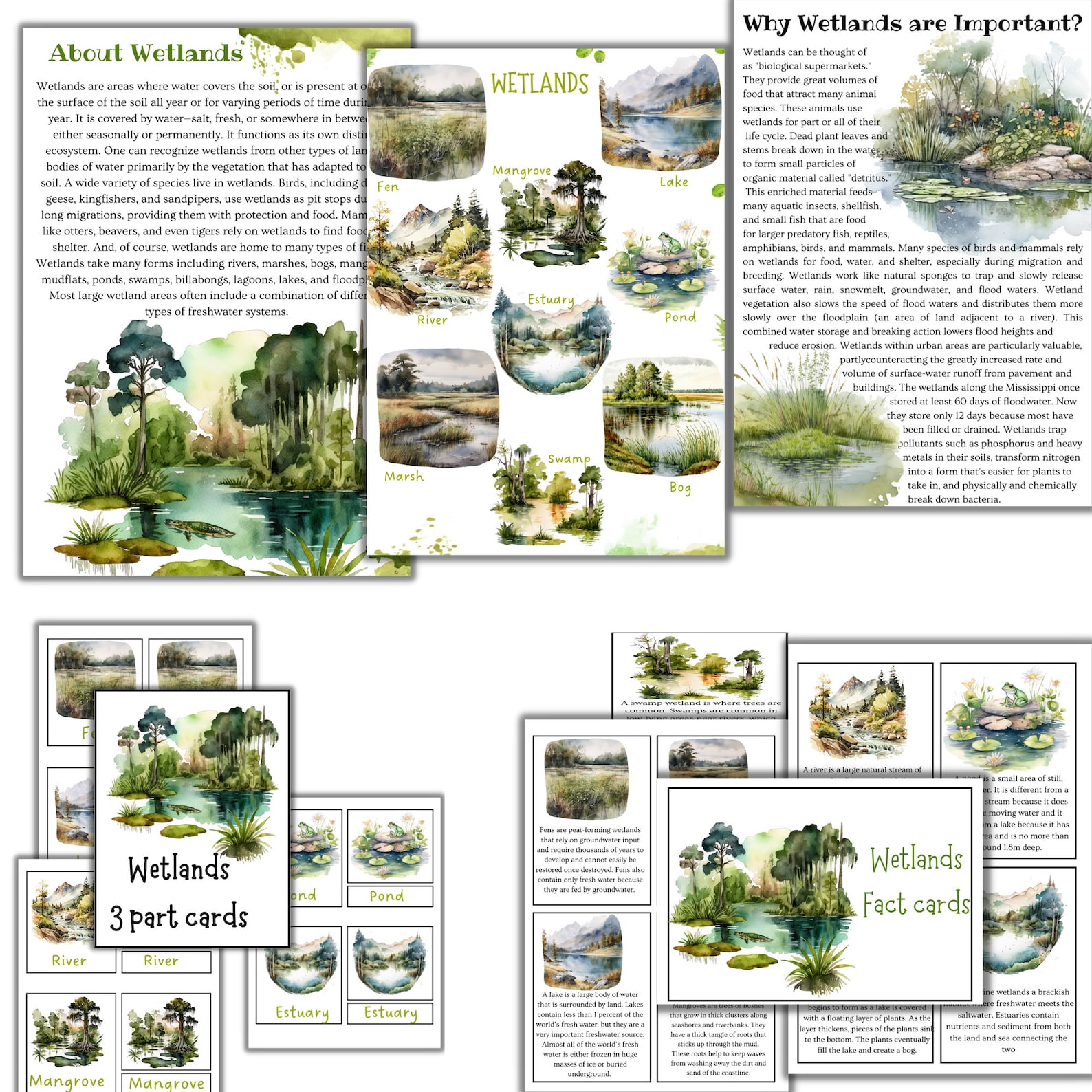 Pond Unit Study, Wetlands Unit, Swamp Unit, Dragonfly Unit Study, Pond ...
