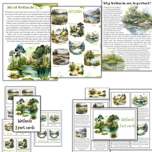 Pond Unit Study, Wetlands Unit, Swamp Unit, Dragonfly Unit Study, Pond ...
