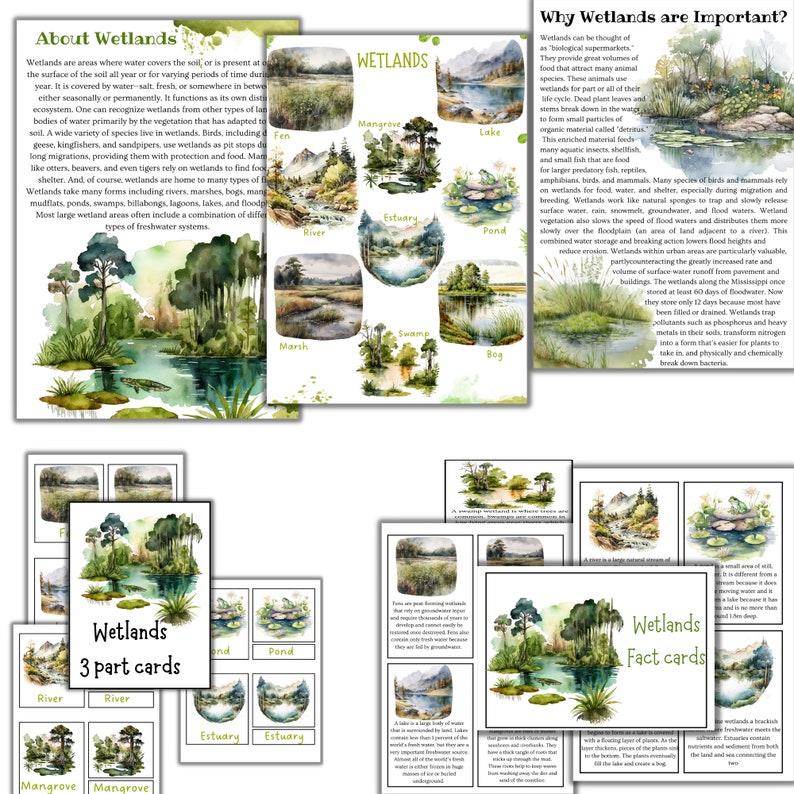 Pond Unit Study, Wetlands Unit, Swamp Unit, Dragonfly Unit Study, Pond ...