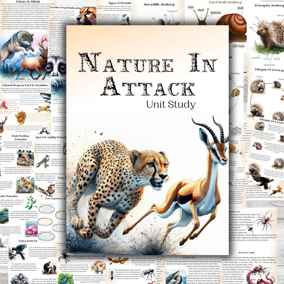 Nature in Attack Unit Study, Predators Unit, Lion Unit, Shark Unit ...