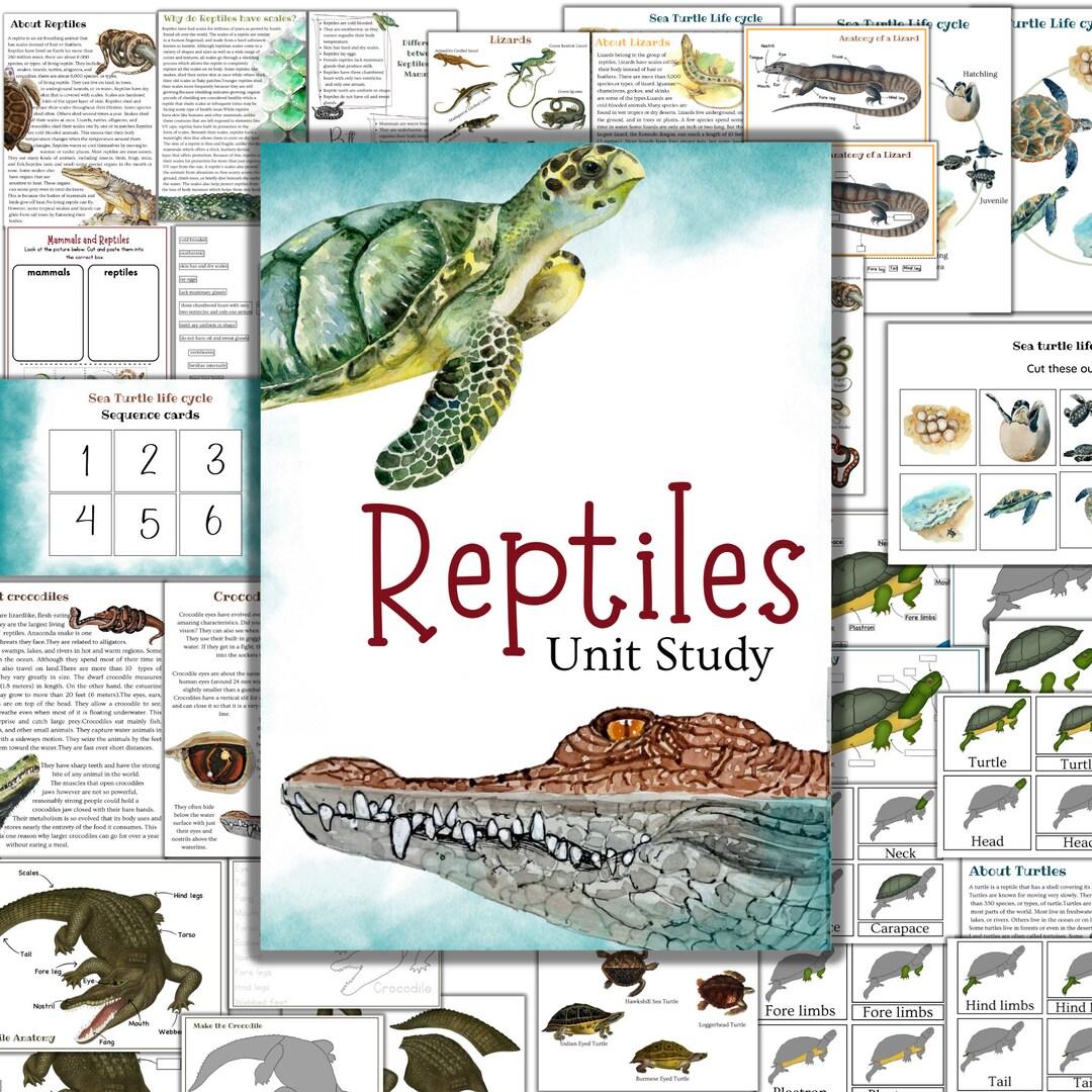 Reptiles Unit Study, Crocodile Unit Study, Turtle Unit Study, Reptiles ...